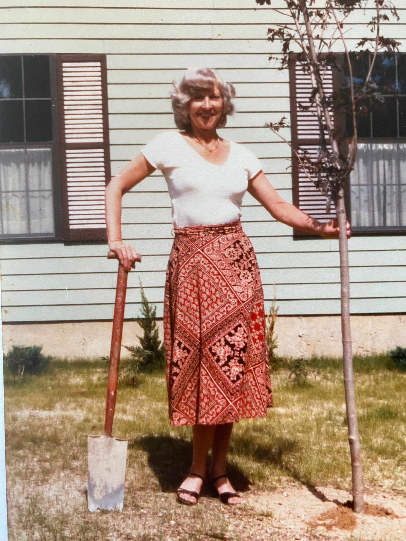 seftonblog – lawyer, searching for justice and truth for others